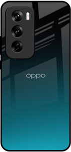 Hocopoco Back Cover for Oppo Reno 12 Pro 5G - Hocopoco : Flipkart.com