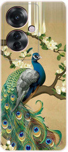 Nassion Back Cover for Oppo F25 Pro 5G Back Cover - Nassion : Flipkart.com