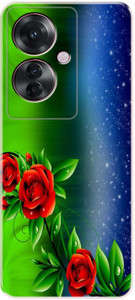 Nassion Back Cover for Oppo F25 Pro 5G Back Cover - Nassion : Flipkart.com