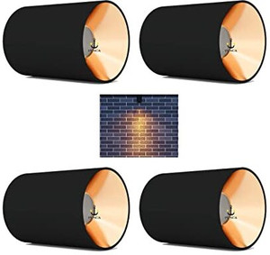 PESCA 12 Watt Black Cylinder Finish LED Spotlight Focus Light Track ...