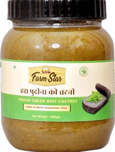 farm star Indian Green Mint Chutney | Pudina Chutney made in Indian ...