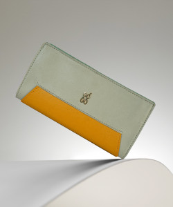 Baggit Casual Green Clutch GREEN - Price in India | Flipkart.com