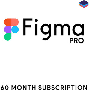 Figma Pro 5 Years Subscription Premium Edition Price in India - Buy ...