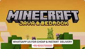 Minecraft java and bedrock edition Deluxe Edition Price in India - Buy ...