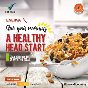 Vestige Enerva Breakfast Cereal Price in India - Buy Vestige Enerva ...