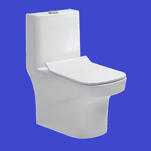 Vardhman Ceramics Syphonic Tornado Flushing Rimless Western Toilet One ...