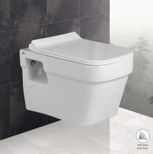 Delta Premium Grade Ceramic Wall Mounted European Water Closet Premium ...