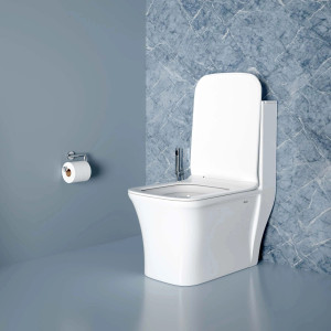 Ruhe Alben One-Piece Rimless S-Trap| 3D Siphonic Flushing Western ...