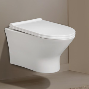 Hindware Fabio Neo Rimless EWC with Soft Close Cover and Dual Flushing ...