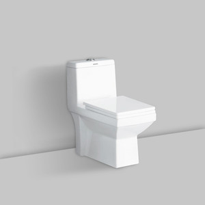 Drops Luxury Bathware Western Floor Mounted One Piece Water Closet ...