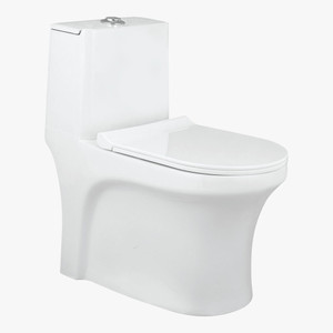 RAK RAK Curve 220mm One Peice Curve Western Commode Price in India ...