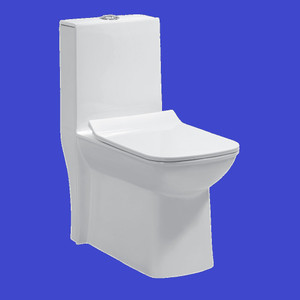 Vardhman Ceramics Rimless One Piece Western Toilet Rimfree EWC Floor ...
