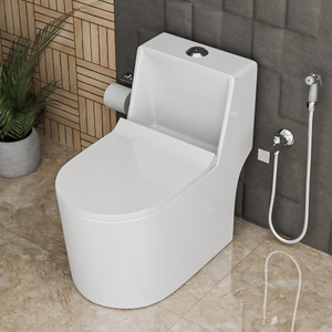 Nerobi Rimless Syphonic 5D Western Floor Mounted Commode Lino(S-Trap ...