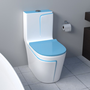 BRIZENTA Commode for Toilet/Ceramic One Piece Toilet/ Syphonic Flush ...