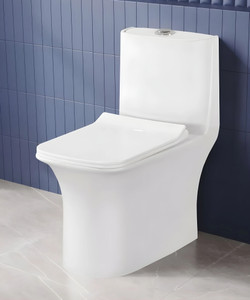 Eden /S TRAP/22cm OR 9inch/ Rimless/ 5D Swirl Siphonic Flush/Floor ...