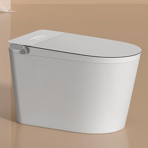Plantex S- Trap Smart Commode with Bidet Seat with Digital Display ...