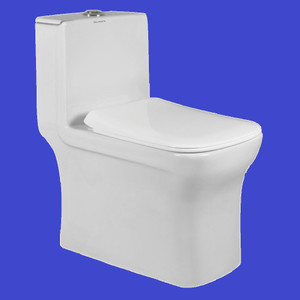 Vardhman Ceramics One Piece Western Toilet Commode Water Closet EWC S ...
