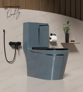 BRIZENTA 11009 Ceramic Slate Grey commode with Black Line Finishing ...