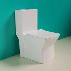 BRIZENTA 822/OPC Ceramic S TYPE /Water Closet/Commode With Soft Close ...
