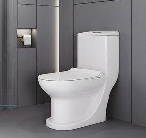 Syon CARDIN One Piece Floor Mounted Western Commode / Water Closet ("S ...