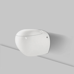 Drops Luxury Bathware Ceramic Commode Wall Mount/Wall Hung Western ...