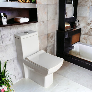 Classica white classica 124 Western Commode Price in India - Buy ...