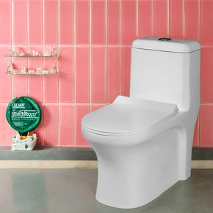 CARA MARK Aryado|western commode toilet seat|western toilets|S trap ...