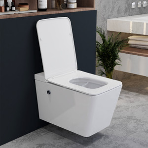 Impulse by Plantex Commode With Soft Closet Sheet/Rimless Ceramic Wall ...