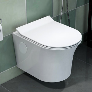 Plantex Platinium Ceramic Rimless Wall Hung Western Toilet, Water ...