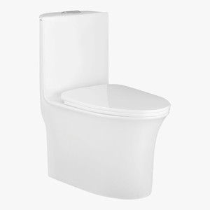 RAK RAK-Mellosa 220mm S-Trap One Peice Mellosa Western Commode Price in ...