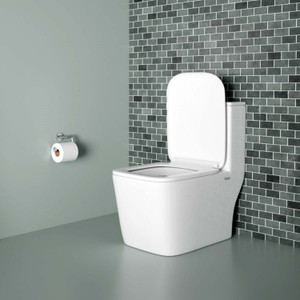Ruhe Athos One-Piece Rimless S-Trap Siphonic Western Toilet | High ...