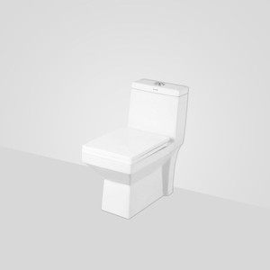 Drops Luxury Bathware Western Floor Mounted One Piece Water Closet ...