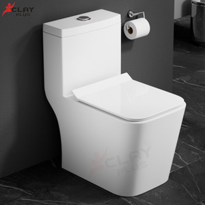 clayplus 1003Premium Grade Ceramic One Piece FloorMounted Western ...