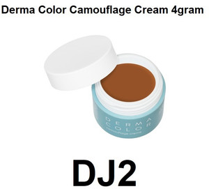 Derma Color Cream DJ2 Concealer - Price in India, Buy Derma Color Cream ...