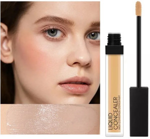 BLUEMERMAID PERFECT LIQUID MATTE FINISH CONCEALER Concealer - Price in ...
