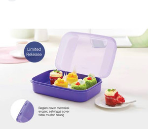 TUPPERWARE Polypropylene, Plastic Utility Container - 800 ml Price in ...