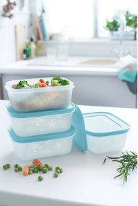TUPPERWARE Polypropylene Utility Container - 450 ml Price in India ...