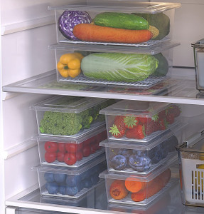 RK EMPIRE Plastic Fridge Container - 1500 ml Price in India - Buy RK ...
