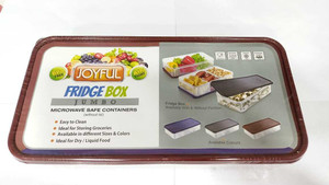 JOYO Plastic Grocery Container - 3000 ml Price in India - Buy JOYO ...