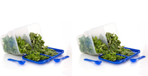 COLOSSAL Plastic Fridge Container - 2000 ml Price in India - Buy ...