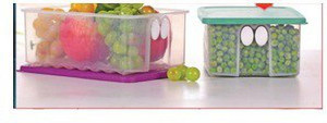 TUPPERWARE Polypropylene Fridge Container - 1600 ml Price in India ...