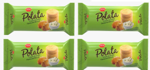 Pran Cream & Onion Flavoured Biscuit 75g Cracker Price in India - Buy ...