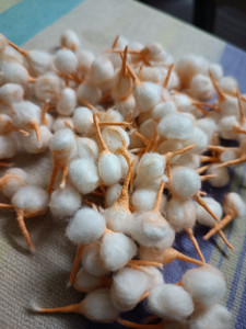 fresh train Homemade Cotton Wicks | Pooja Batti Rui Jyoti Batti [200pc ...
