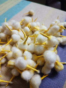 fresh train HANDMADE Cotton Wicks Made With Milk & Haldi | Pooja Batti ...