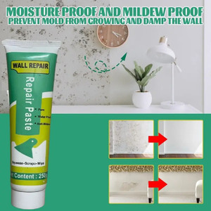 INVERSION Wall Repair Paste for Filling Cracks, Holes, Easy wall/Tiles ...