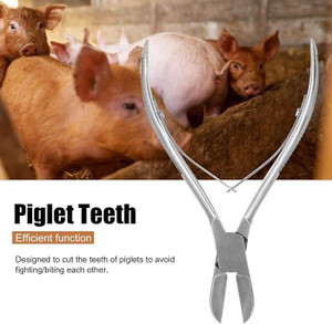 Bethlehem Pig Tooth Nipper Piglets Teeth Tooth Clipper Teeth Cutter ( 8 ...