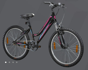 FIREFOX Breeze 24 T Mountain Cycle Price in India - Buy FIREFOX Breeze ...