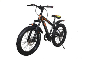Addo India EASTMAN 20" CYCLE IMPULSE FRONT SUSPENSION DOUBLE DISC 20 T ...