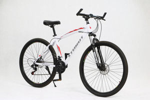 Sturdy Bikes XTT Mountain Bike with 21 speed gears and dual disc brakes ...