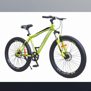 T-LUISTONE Semi Fat Tyre Water Decal/Matt Finishing Dual Disc Brake ...